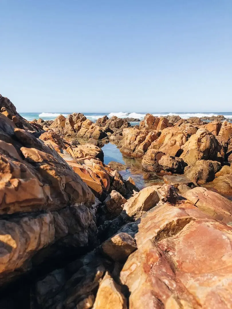 5 Unmissable Garden Route Highlights