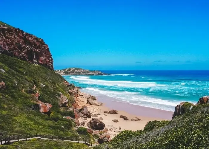 5 Unmissable Garden Route Highlights